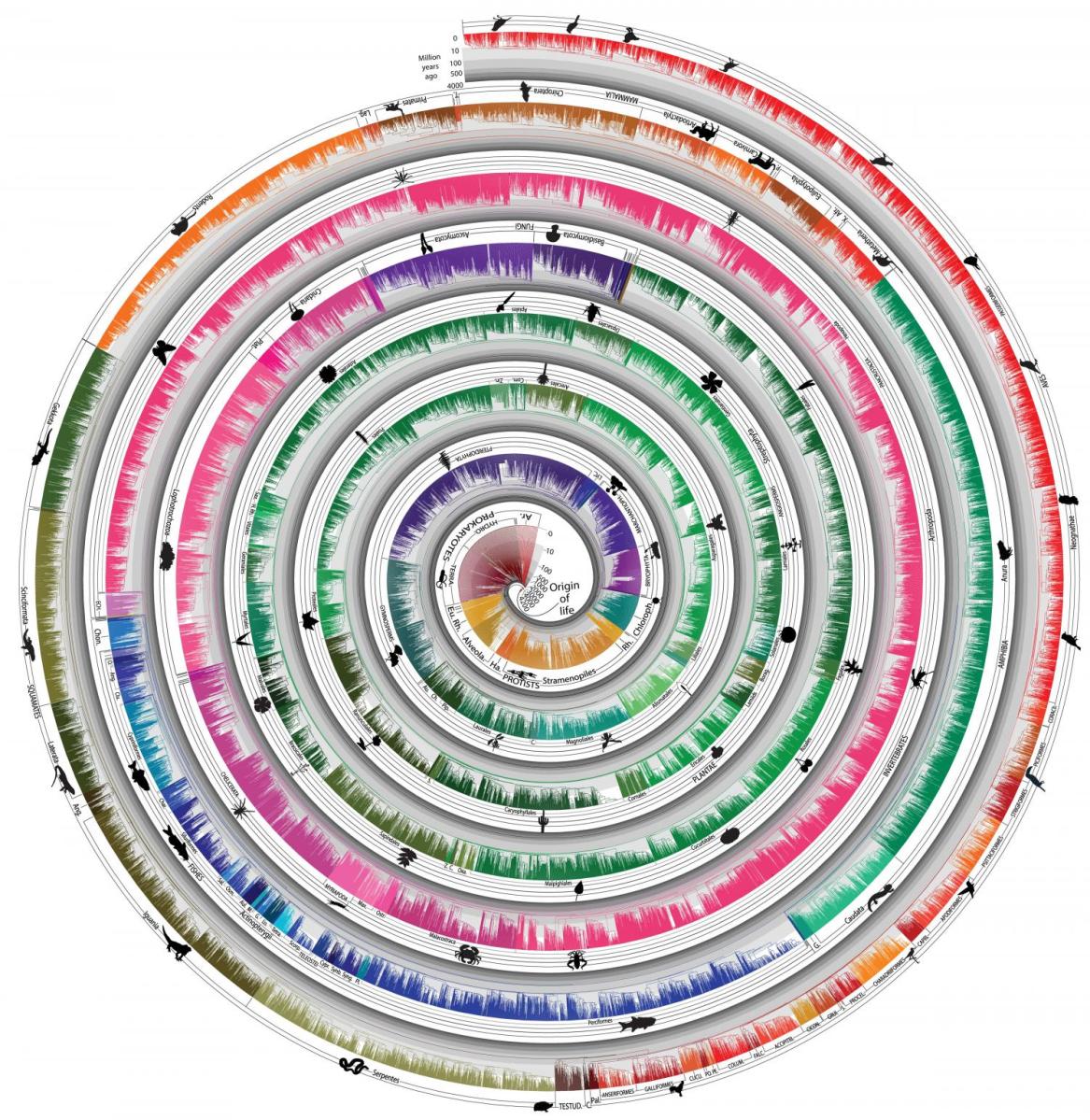 Timetree of Life | sixdaysblog