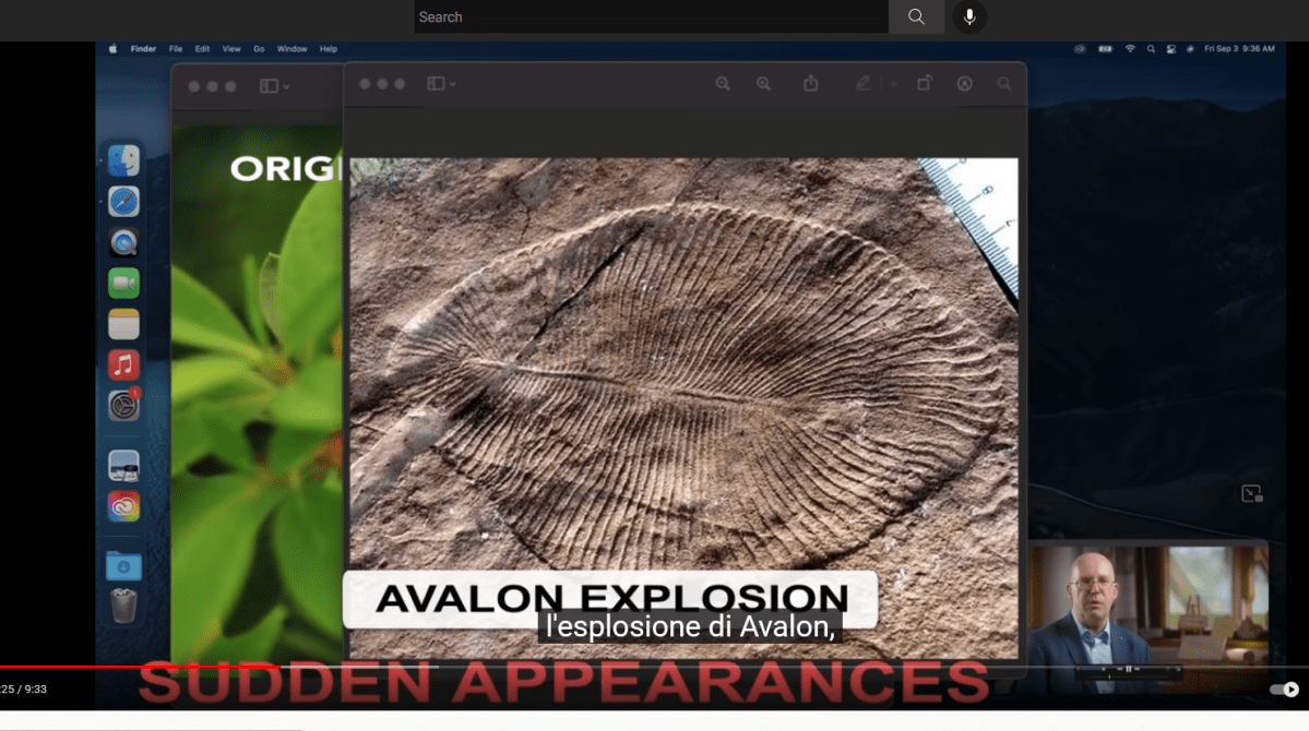 Science Uprising and the Fossil Record | sixdaysblog